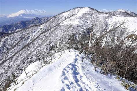 冬の丹沢山からの展望 写真素材 2461786 フォトライブラリー photolibrary