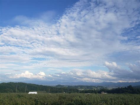 日が傾いてきたら少し涼しくなってきたゾ？ 青森県弘前市 待もん ウェザーニュース
