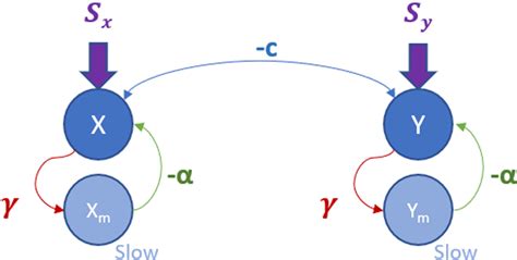 Schematic Illustration Of The Advanced Perception Adaptation Model Download Scientific Diagram