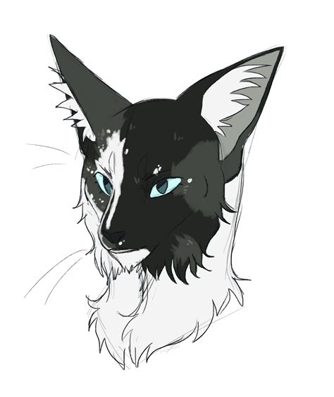 Cicada Commission By Brassclawed On Deviantart