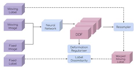 A Schematic Illustration Of A Weakly Supervised Image Registration