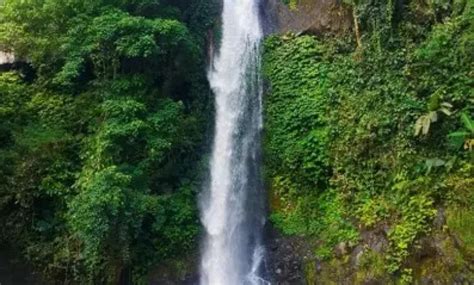 Wisata Alam Coban Jahe Murah Di Malang Wisatahits