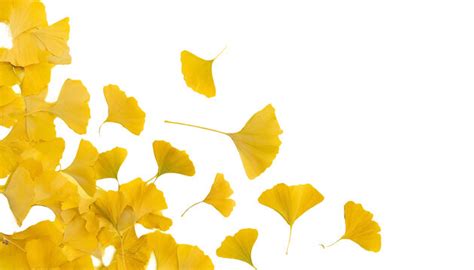 「原稿用紙」の写真素材 16188件の無料イラスト画像 Adobe Stock