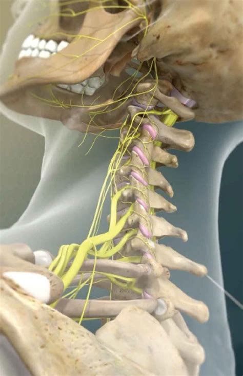 Medial Branch Block Injections