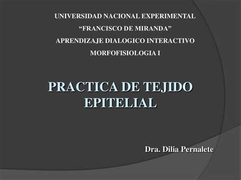 TEJIDO EPITELIAL Ysaac Garcia UDocz