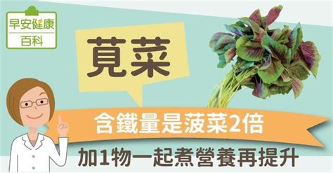 莧菜：含鐵量是菠菜2倍！加1物一起煮營養價值再提升