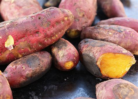 焼き過ぎちゃった！食べ残った焼き芋有効活用の仕方を教えます！残った焼き芋はこうやって使う！甘い焼き芋もしょっぱい系おかずに早変わり人気レシピも