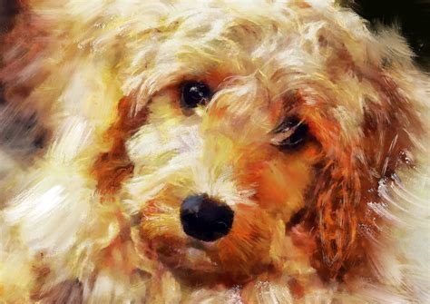 Cockapoo Dog Owner T Abstract Painting Wall Art Print Etsy Uk