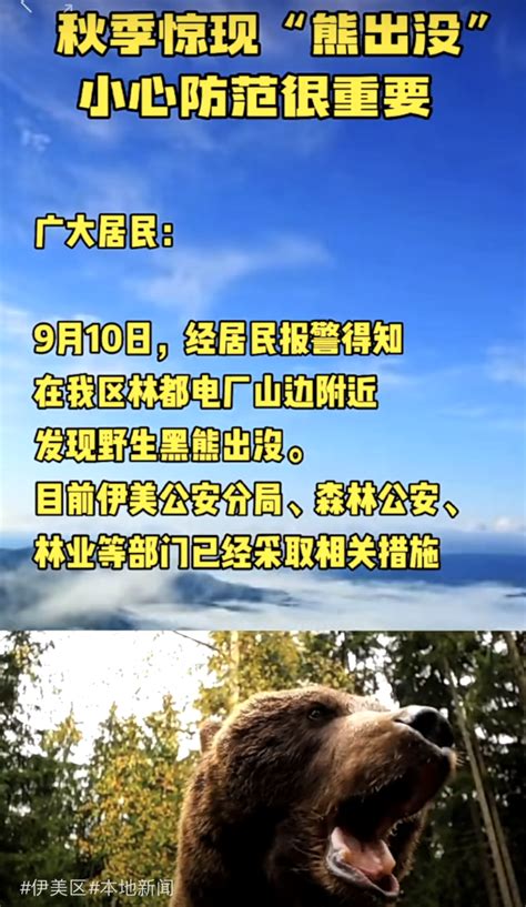 有熊出没！黑龙江伊春伊美区发布提醒 黑龙江网