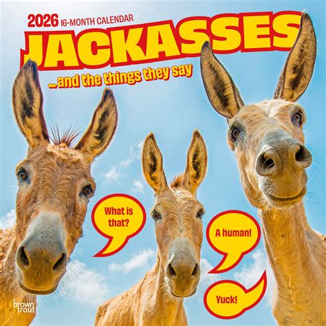 Jackasses 2026 12 X 24 Inch Hanging Monthly Square Wall Calendar