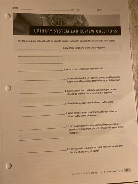 Solved Name Section Date Urinary System Lab Review