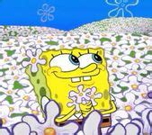 Sponge Bob Pfp