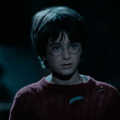 Harry Potter Icon
