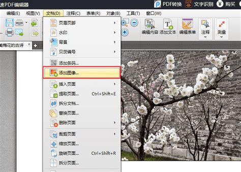 怎么在PDF文档中加入TXT文本 捷速PDF编辑器