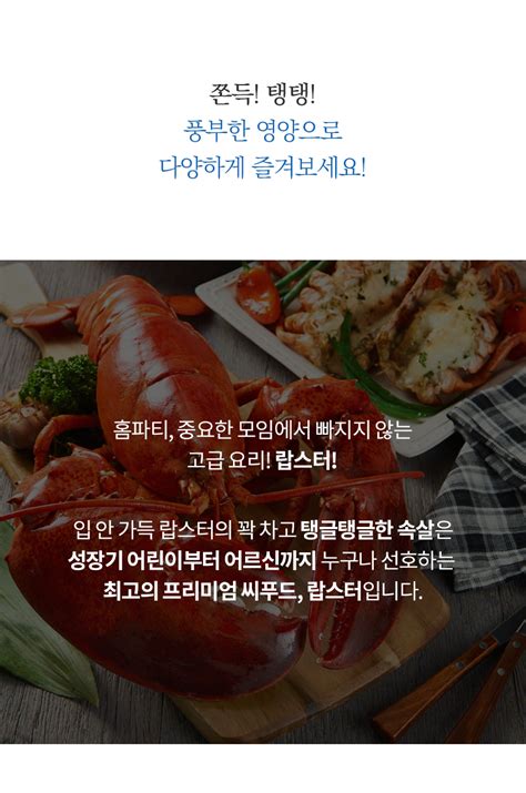 캐나다산 활 랍스터 자숙용 바닷가재 랍스터테일 주 맛있는푸드