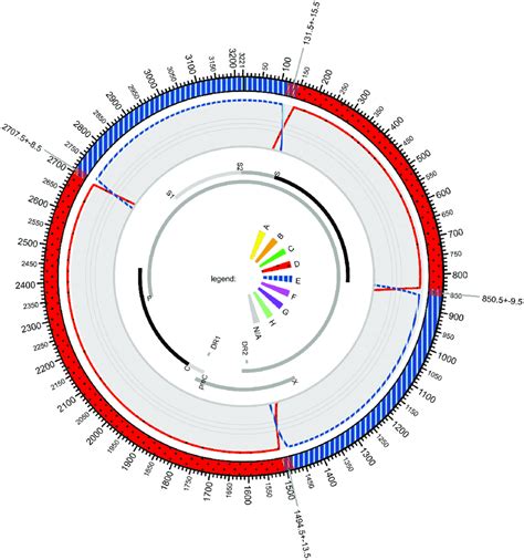 Schematic Representation Of The Recombinant Hbv Strain B5584 The Hbv