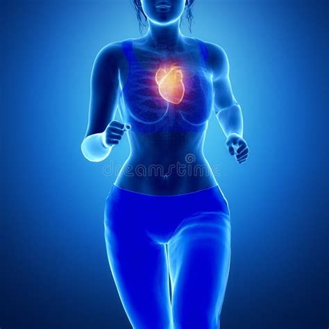 Healthy Lifestyle Concept Stock Illustration Illustration Of Lifestyle