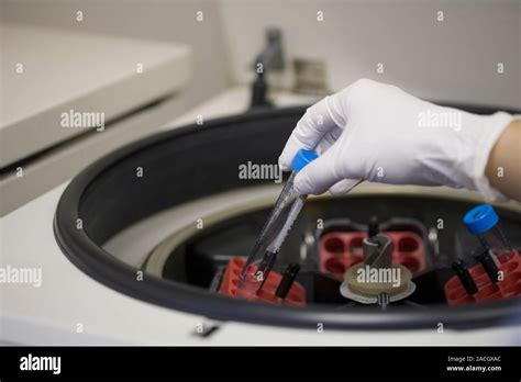 In Vitro Fertilization Lab Technician Using A Centrifuge To Separate The Constituents Of Human