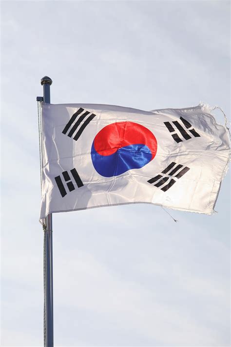 100 무료 태극기 And 태극권 이미지 Pixabay