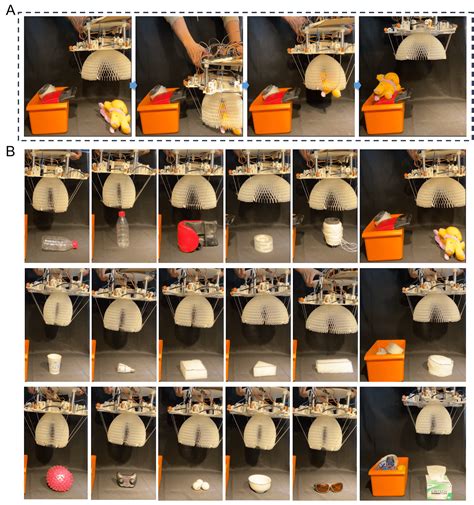 Iii Bio Inspired Soft Robotic Grippers And Manipulators Xingwen Zheng Research Group Zhejiang