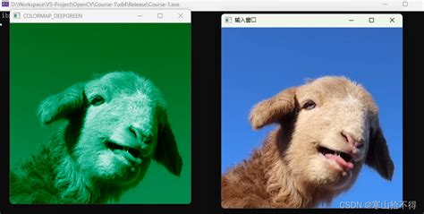 【个人笔记】09 Opencv自带颜色表操作opencv Color表 Csdn博客