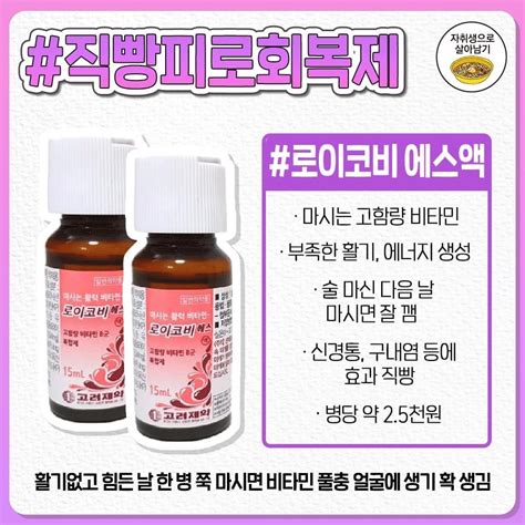 Daum 카페