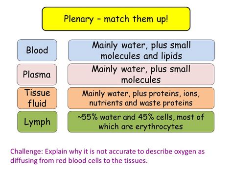 76 Blood Vessels Tissue Fluid And Lymph A Level Year 12 Biology