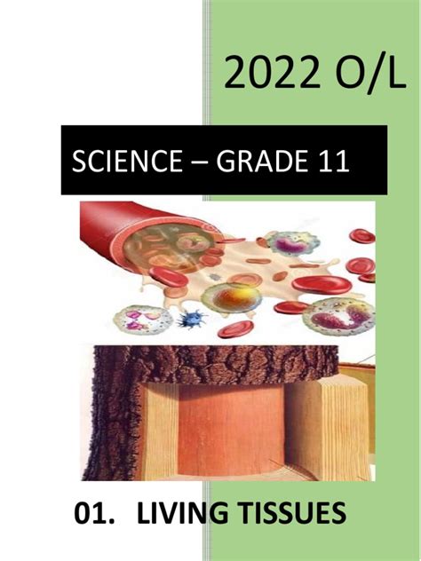 Living Tissues Study Guide Pdf