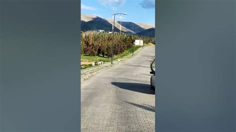 زیکری بەیانیان Youtube