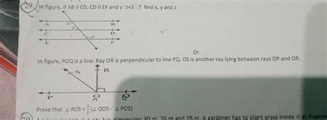 29 In Figure If Ab∥cd Cd∥ef And Y Z 3 7 Find X Y And Z Or In Figure Po