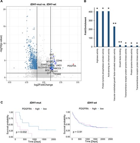 Oncogene Expression In Idh1 Mut Aml A Differential Gene Expression In