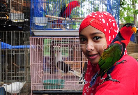 Pasar Burung Antara Foto