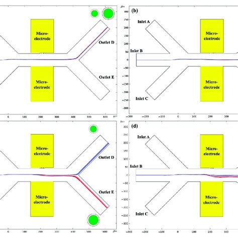 The Migration Of 3 Micrometer And 6 Micrometer Chlorella Adsorbed And Download Scientific