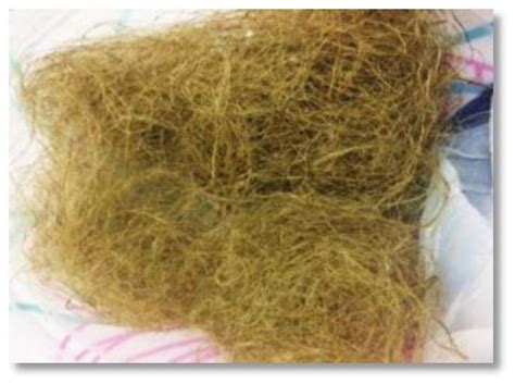 The Polymer Matrix A Polypropylene Powder B Palf Extraction