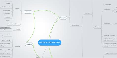 Microorganisms Mindmeister Mind Map