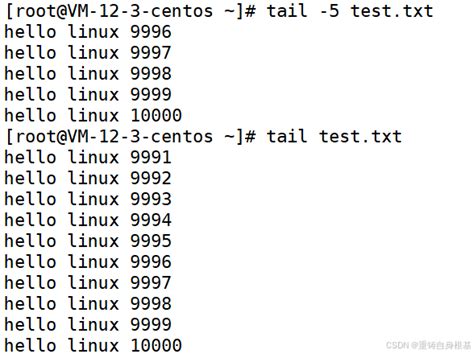 【linux】linux的基本指令echo Man Cp Mv Cat More Less Head Tail以及重定向操作符