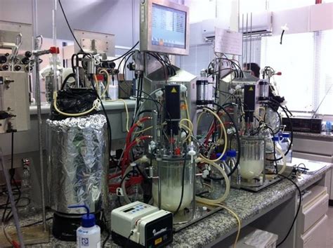 transcriptomic analysis of yeast paves way to more efficient production