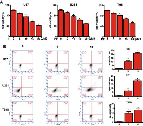 Effects Of Paeoniflorin Pf On Proliferation Apoptosis In U87 U251