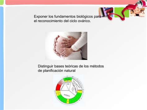 Los Principios Fundamentales De La Sexualidad Ppt