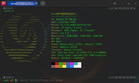 Francisco Dara On Linkedin Oh My Zsh How Do I Configure My Deepin