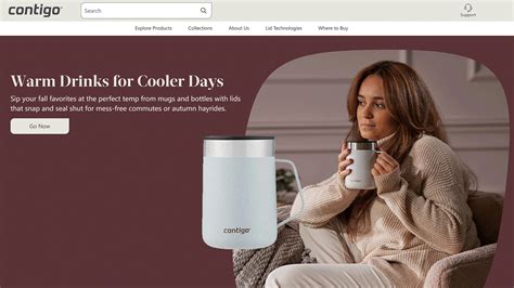 蜂洞 人工智能进出口独立站系统