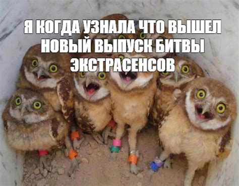 Мем Я КОГДА УЗНАЛА ЧТО ВЫШЕЛ НОВЫЙ ВЫПУСК БИТВЫ ЭКСТРАСЕНСОВ Все шаблоны Meme