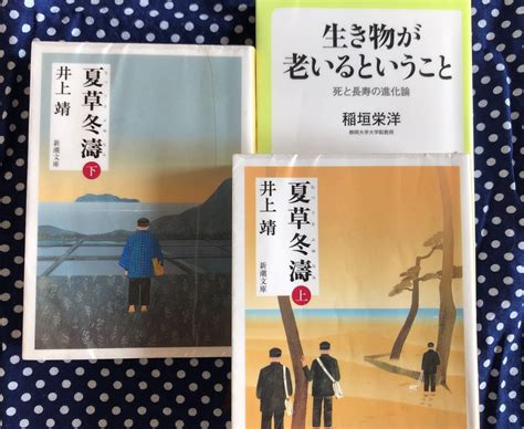 桜子が最近読んだ本（6年生8月②） 貧乏だけど中学受験〜しました2023〜