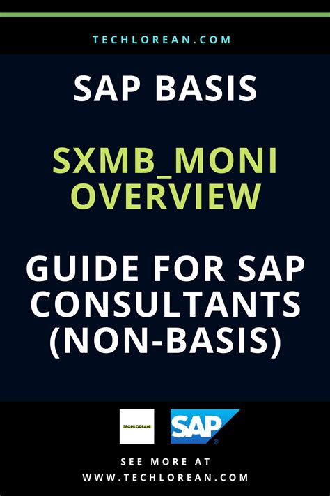 Sap Sxmbmoni Basic Overview And Troubleshooting For Sap Functional Consultants Non Basis Artofit