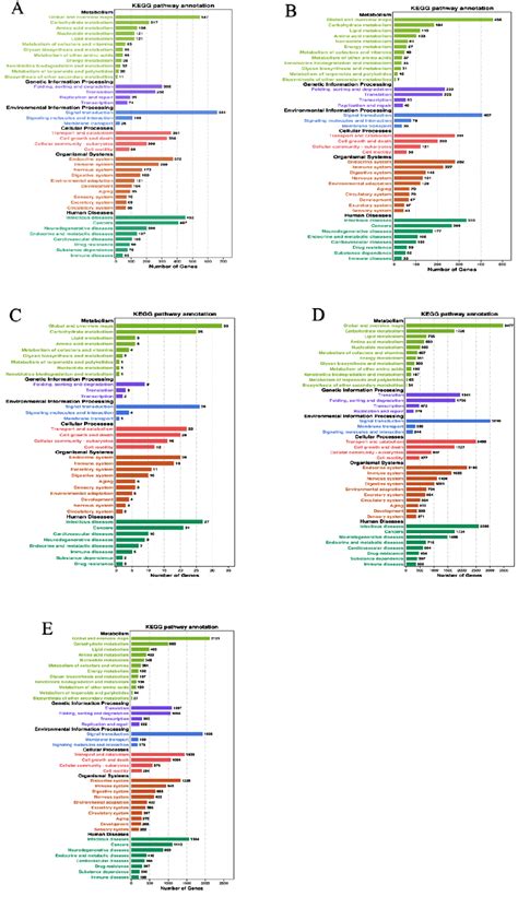 Figure 1 From De Novo Transcriptome Assembly And Analysis Of Longevity