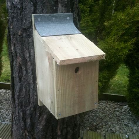 Make Your Own Bird Box Kit Folksy