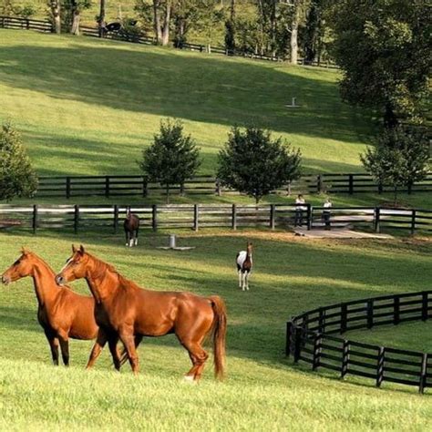 Dream Stables, Dream Barn, Horse Stables, Horse Barns, Equestrian Barns ...