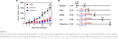 Figure 1 From Dynamic Alterations In Pd 1 Pd L1 Expression Level And