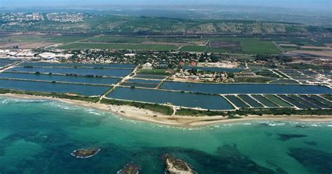 Maagan Michael Alchetron The Free Social Encyclopedia