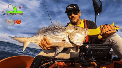 Pesca En Kayak 🚣‍♀️ Pesca Al Vivo Montaje Zoca Curricán De Fondo